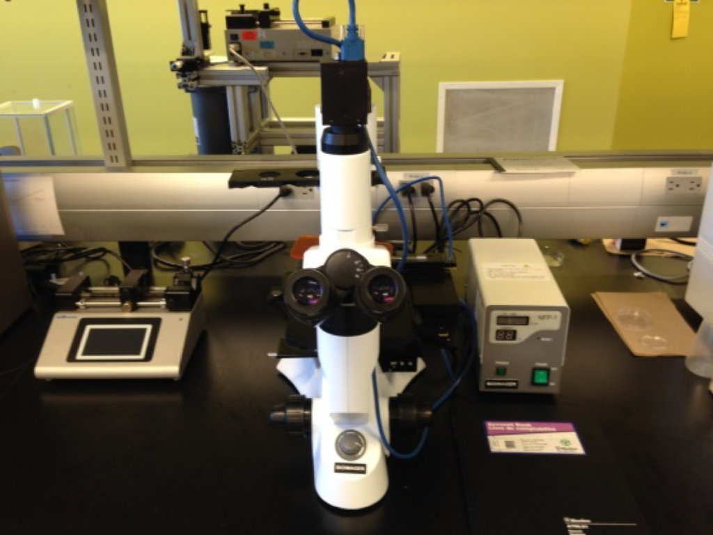 BIOIMAGER BIM-500FL Inverted Epi-Fluorescent Biological Microscope - ACμTE